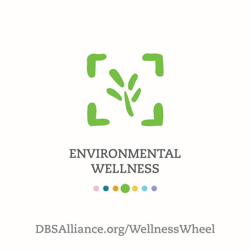 DBSA Wellness Wheel: Your Environmental Wellness - Depression and ...