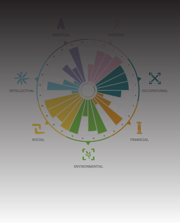 DBSA Wellness Wheel - Depression and Bipolar Support Alliance