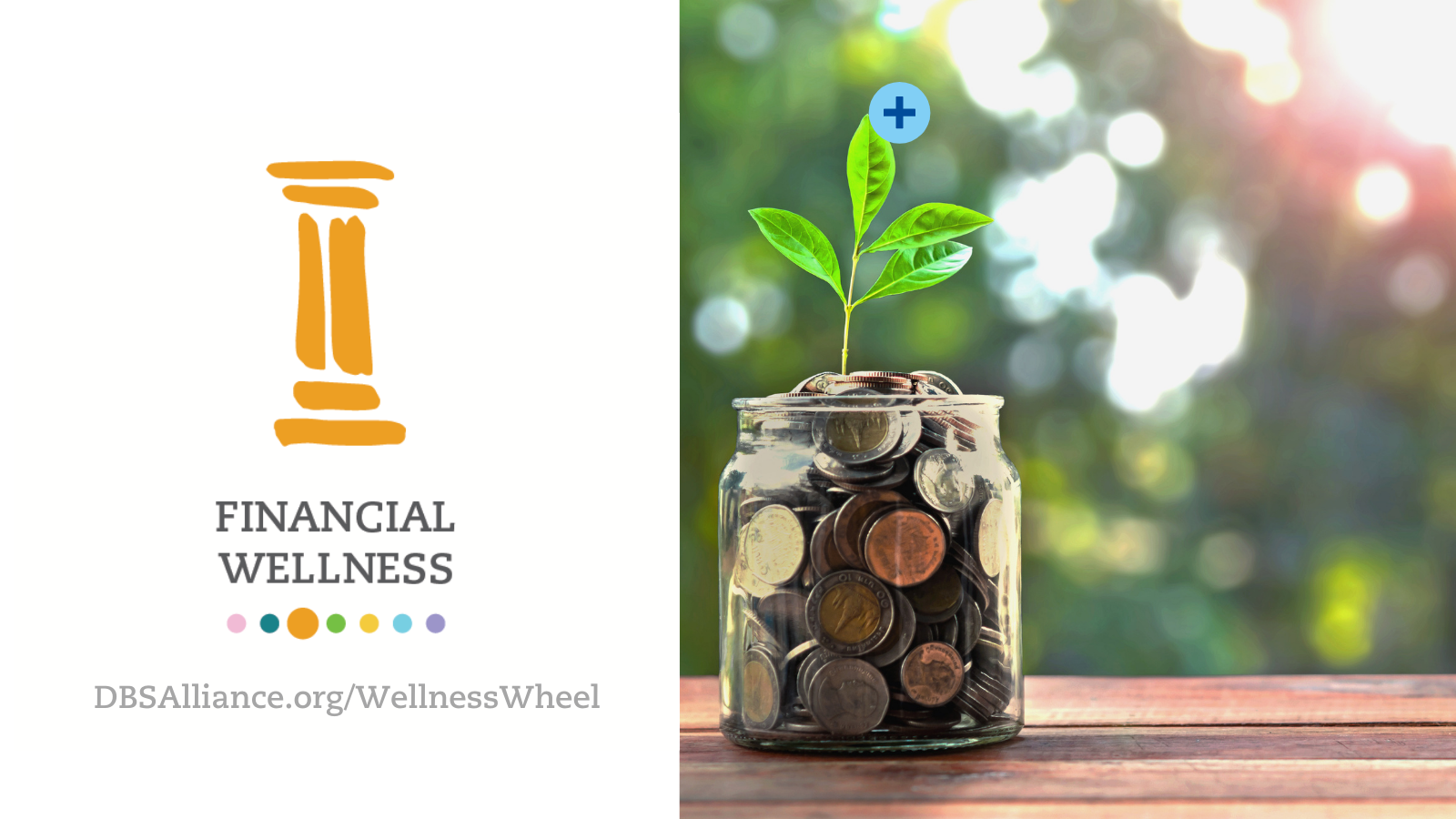DBSA Wellness Wheel: Your Financial Wellness - Depression and Bipolar ...
